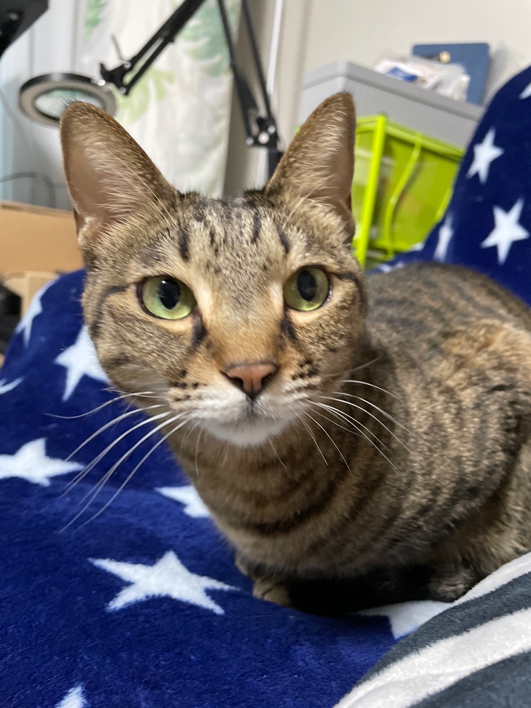 Hakulog · log for my IT life